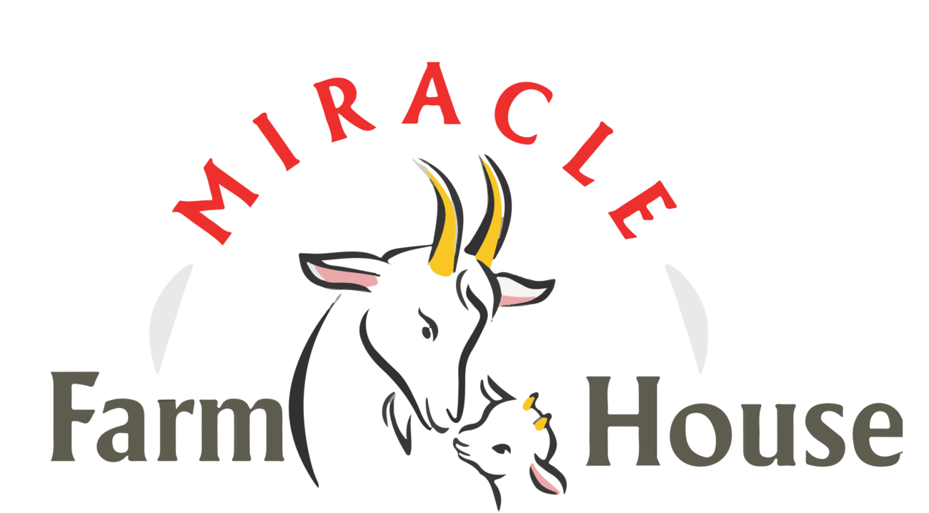 Shop - Miracle Farm House