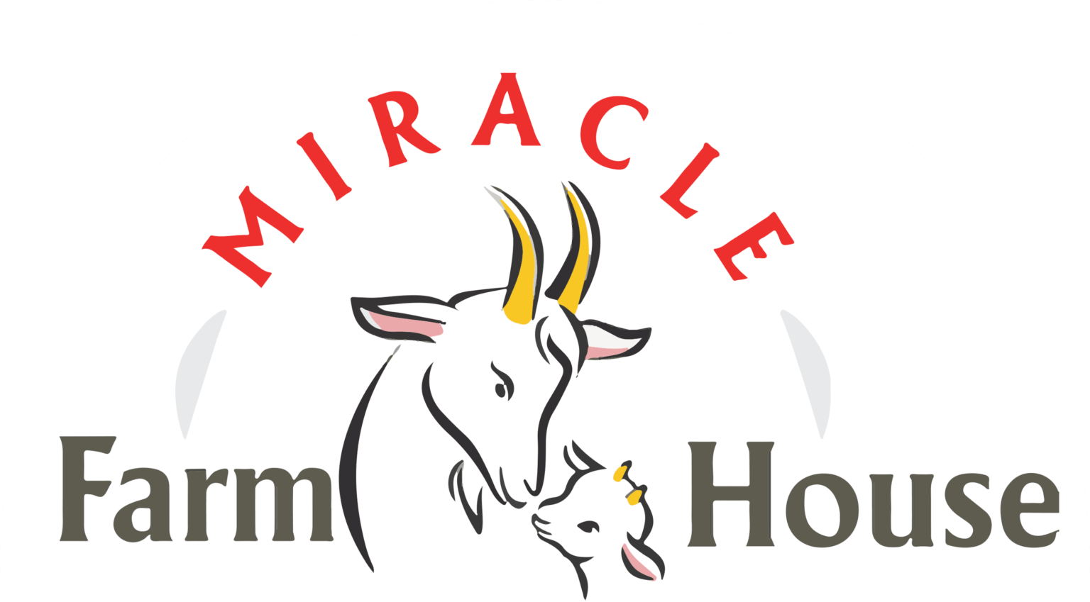 Shop - Miracle Farm House