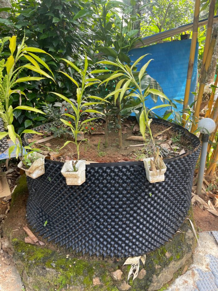 Gallery - Miracle Farm House