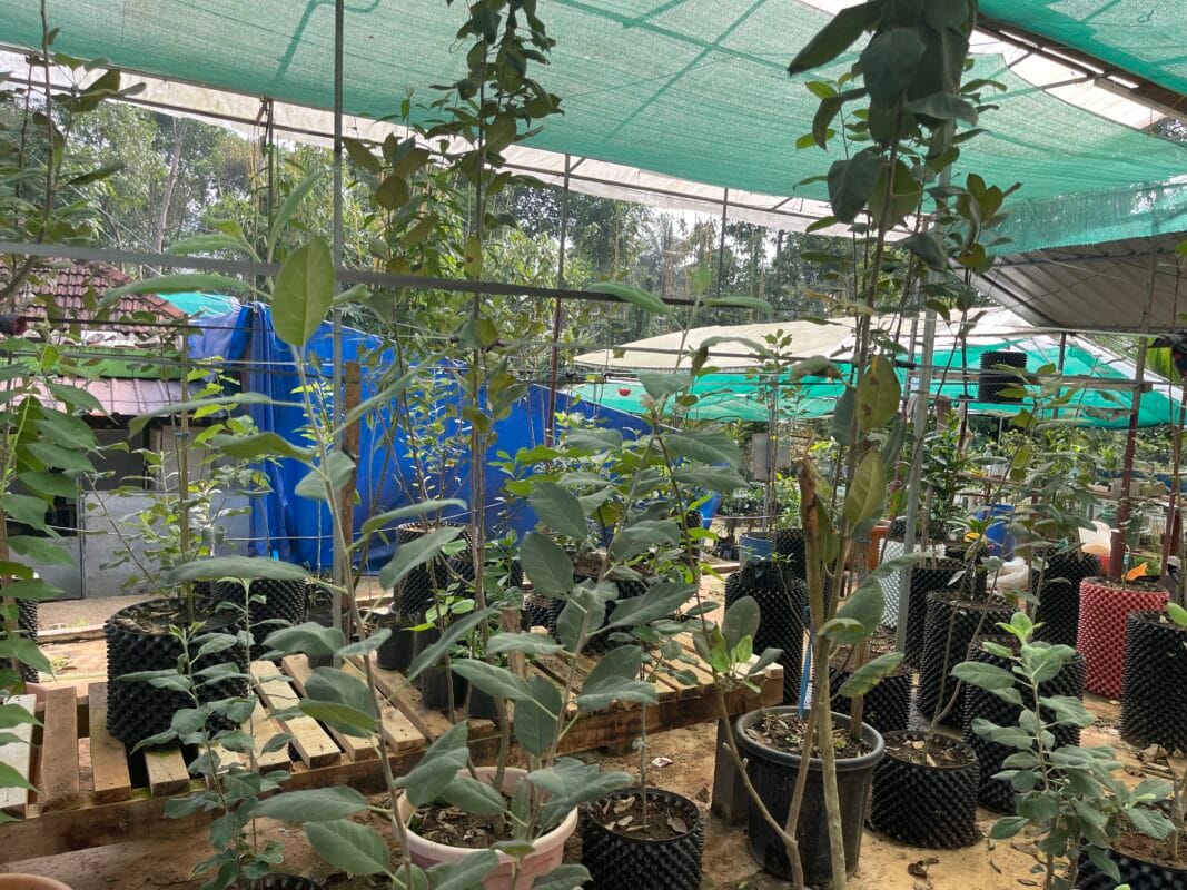 Gallery - miraclefarmhouse